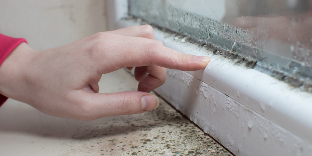 How to Address Water Intrusion, Mold and Poor Indoor Air Quality